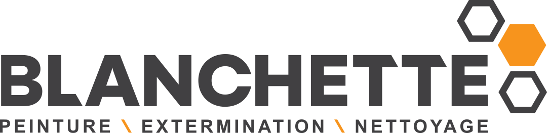 Répertoire des franchises disponibles au Québec | Franchise à vendre